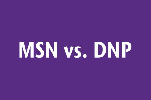 MSN vs. DNP: Your Degree Questions Answered - | St. Catherine University